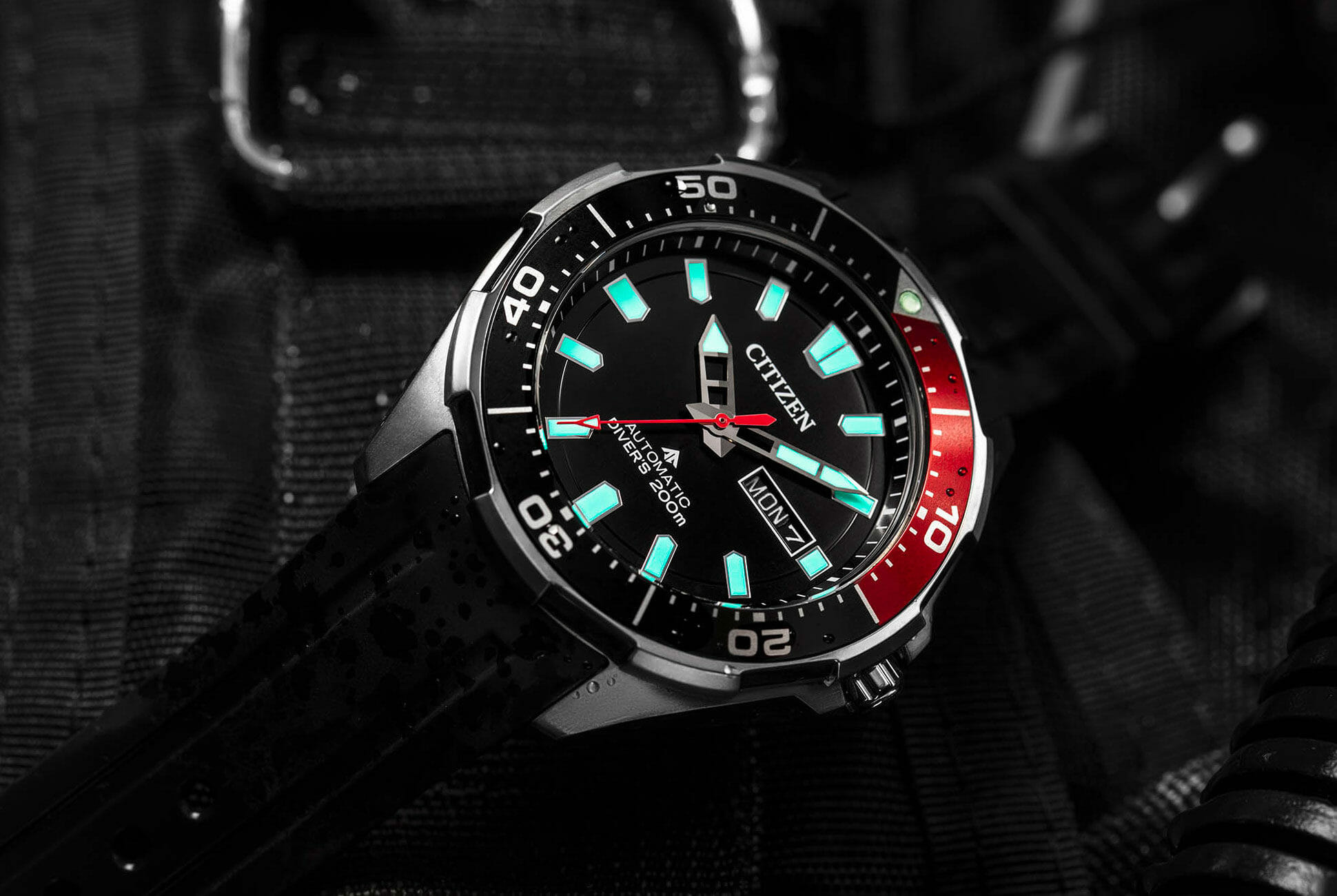 Citizen - Promaster Automatic 50th Anniversary | mr. informal